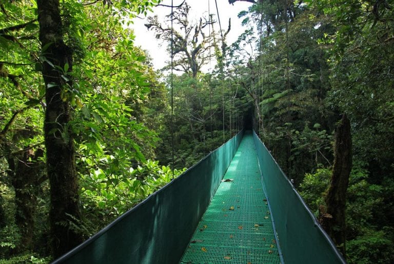 Tips voor een bezoek aan de hangbruggen in Monteverde • IHV Magazine