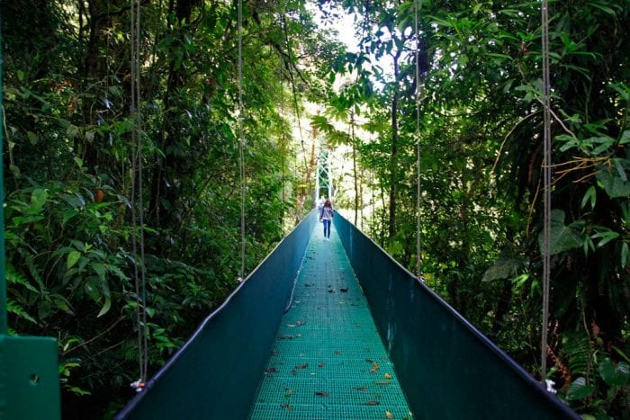 Tips voor een bezoek aan de hangbruggen in Monteverde • IHV Magazine