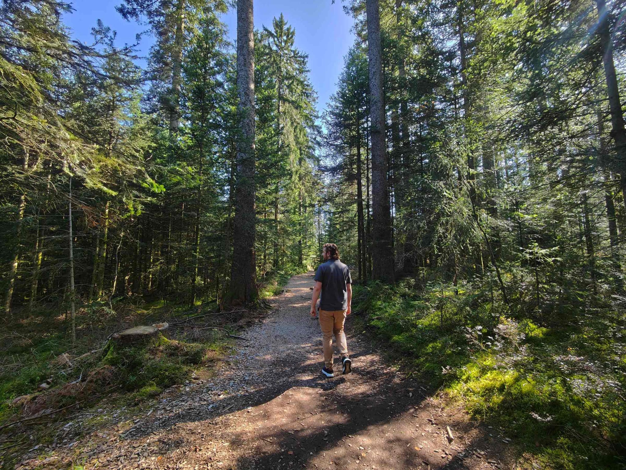 Wat te doen in het Zwarte Woud? Dit zijn de leukste bezienswaardigheden ...