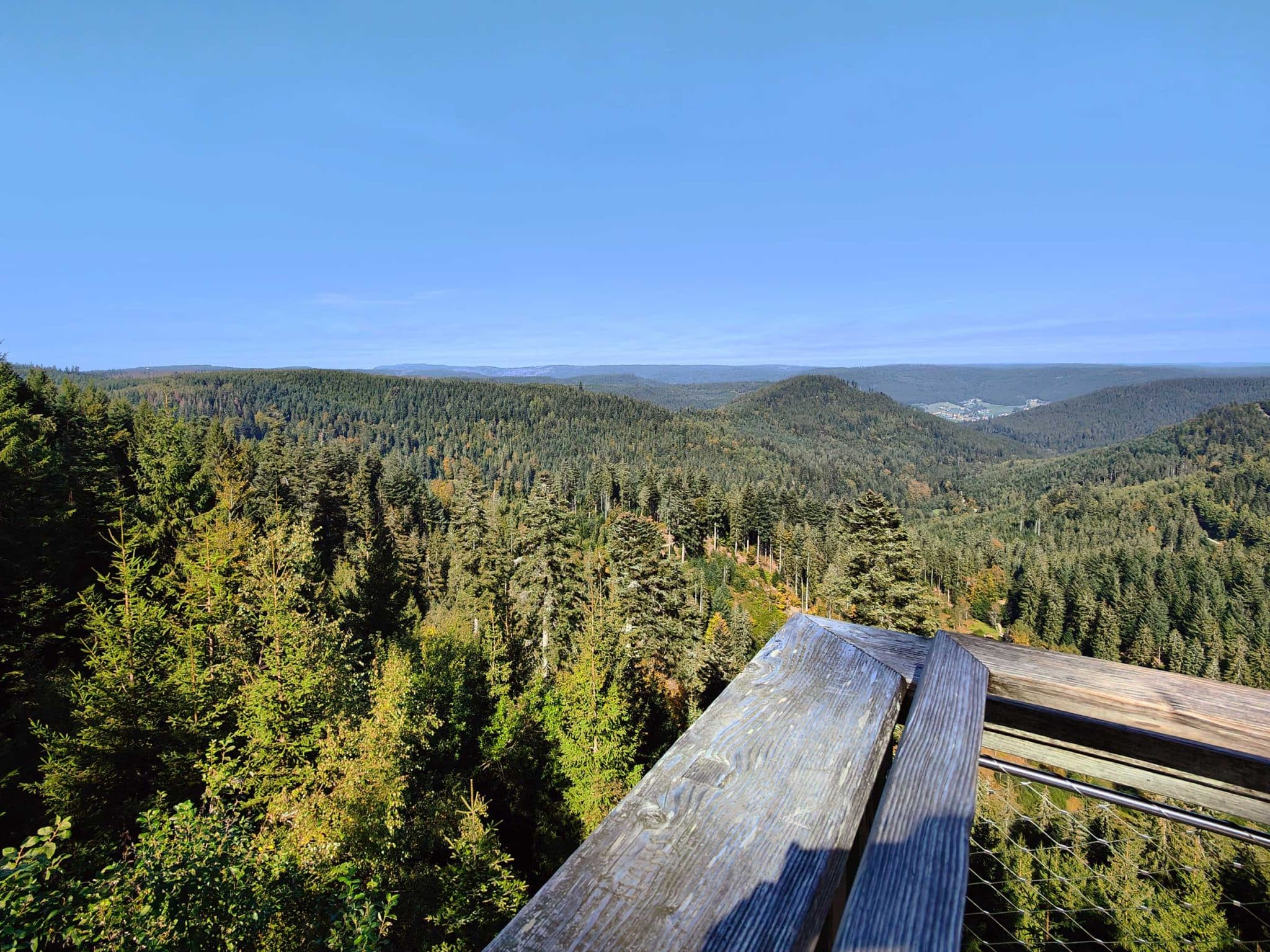 Wat te doen in het Zwarte Woud? Dit zijn de leukste bezienswaardigheden ...
